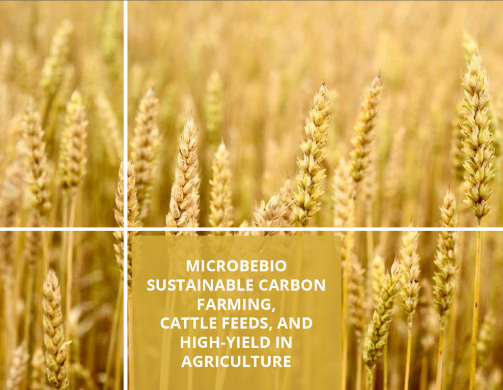 Microbebio Sustainable Regenerative and Carbon Farming - Microbial ...